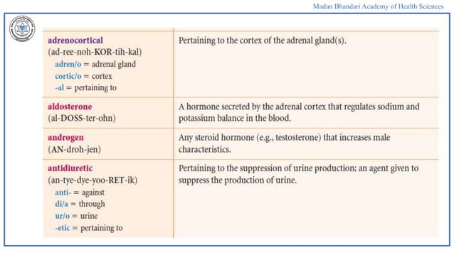 Medical Terminology of Endocrine System | PPTX | Hormonal Disorders ...
