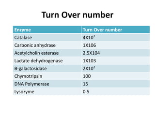 Enzyme Chemistry: Key Terminology and Concepts | PDF