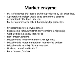 Enzyme Chemistry: Key Terminology and Concepts | PPT