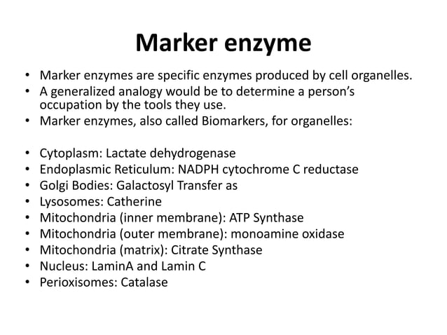 Enzyme Chemistry: Key Terminology and Concepts | PPT
