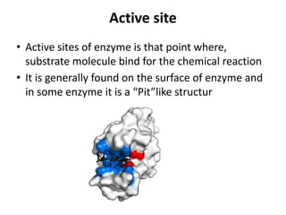 Enzyme Chemistry: Key Terminology and Concepts | PPT