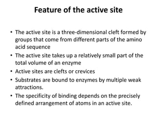 Enzyme Chemistry: Key Terminology and Concepts | PPT