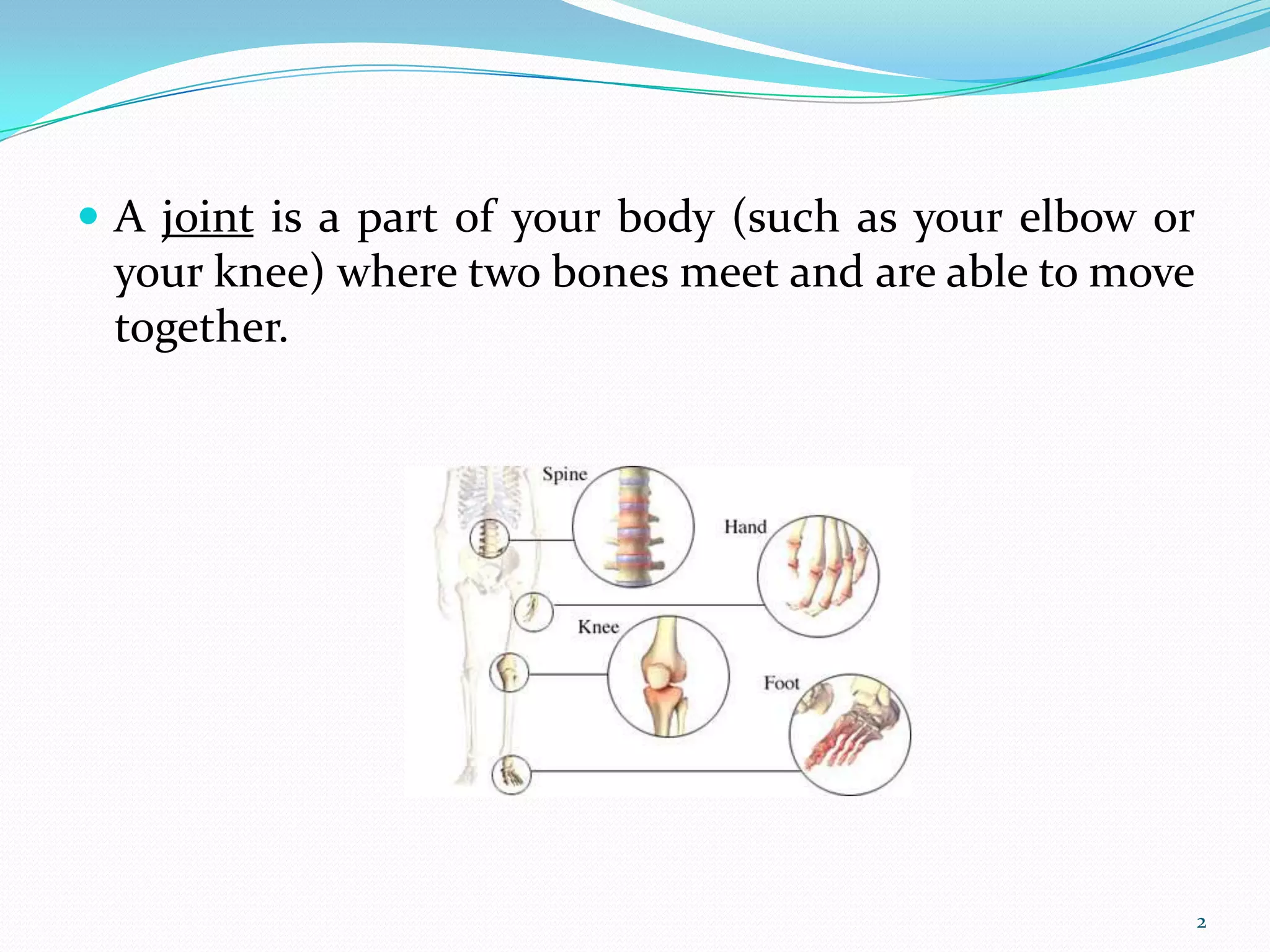 Terminology of joint movement | PPTX