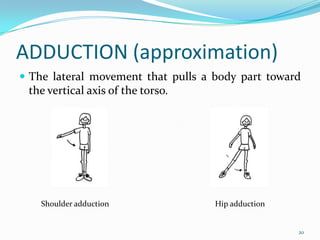 Terminology of joint movement | PPTX