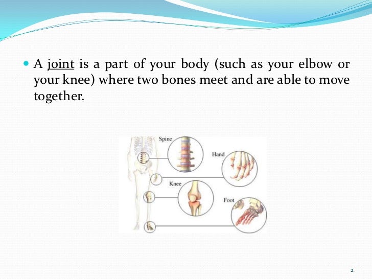 This Image Shows Some Examples Of The Movements Of Joints And Their