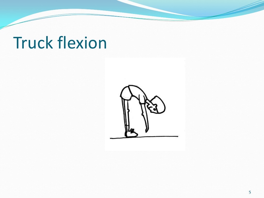 This Image Shows Some Examples Of The Movements Of Joints And Their