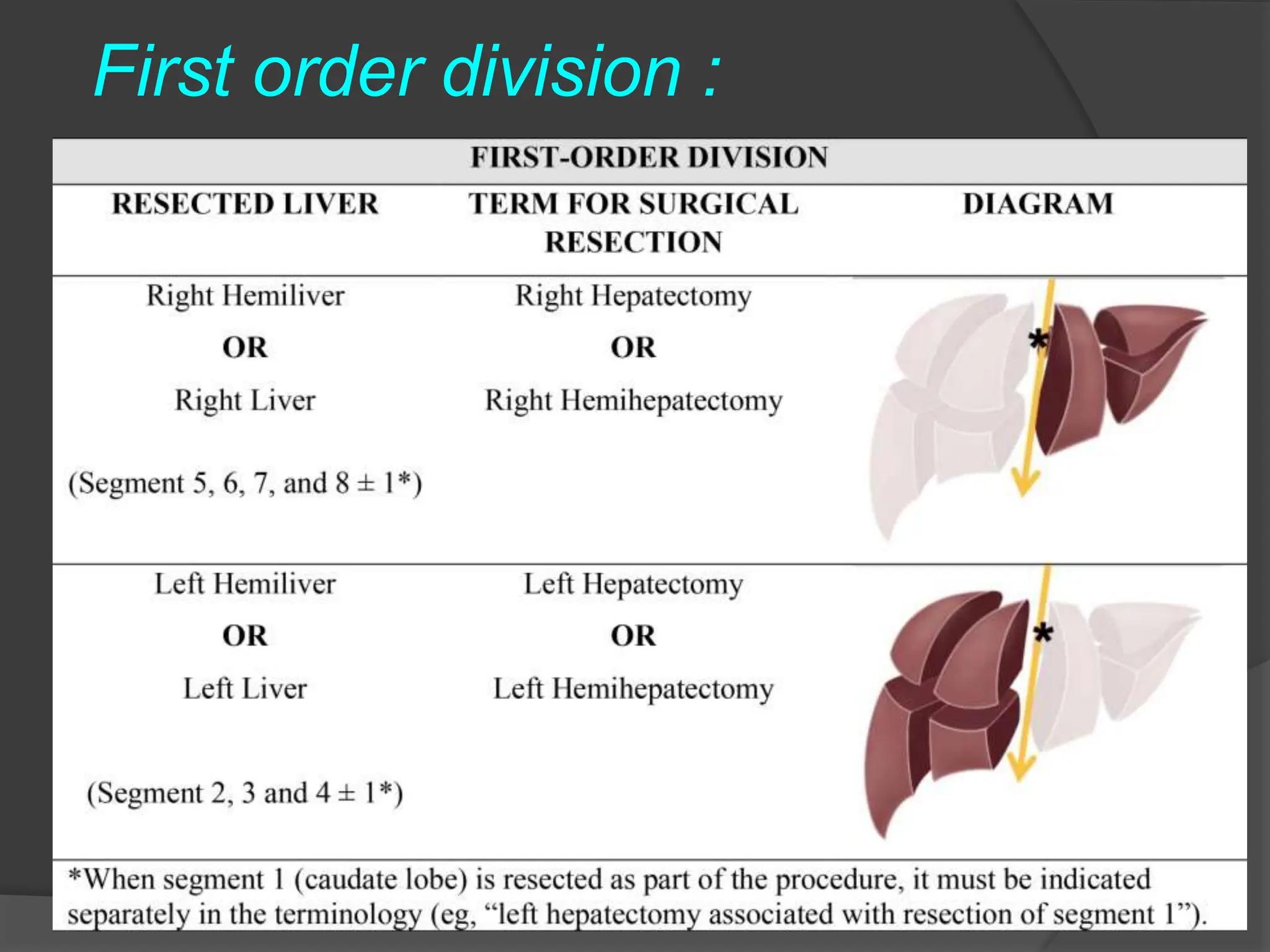 Terminology of liver anatomy and resections.pptx