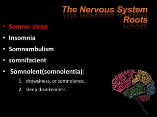 Terminology of nervous system ترمینولوژی سیستم عصبی | PPTX