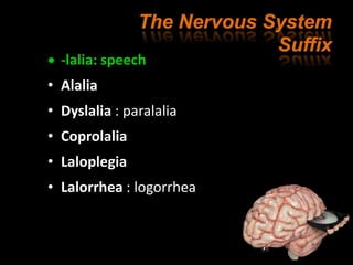Terminology of nervous system ترمینولوژی سیستم عصبی | PPT