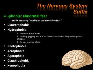 Terminology of nervous system ترمینولوژی سیستم عصبی | PPTX