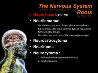 Terminology of nervous system ترمینولوژی سیستم عصبی | PPTX