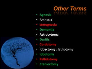 Terminology of nervous system ترمینولوژی سیستم عصبی | PPTX