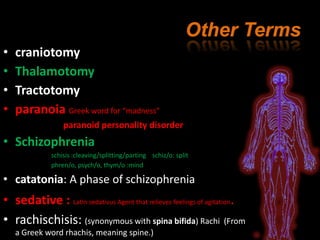 Terminology of nervous system ترمینولوژی سیستم عصبی | PPTX