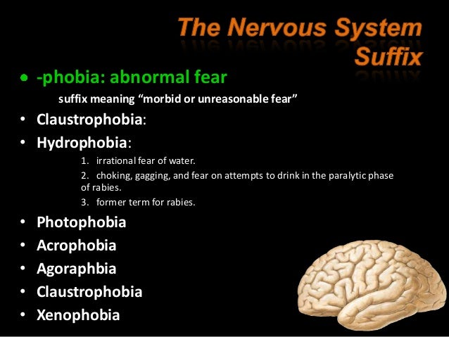 Terminology Of Nervous System terminology-of-nervous-system