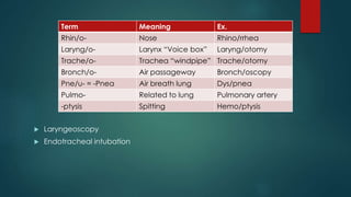 Medical Terminology of the body systems | PPTX