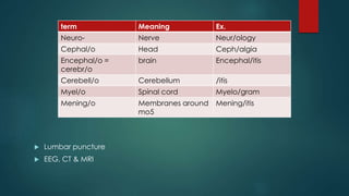 Medical Terminology of the body systems | PPTX
