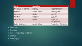 Medical Terminology of the body systems | PPTX