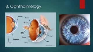 Medical Terminology of the body systems | PPTX