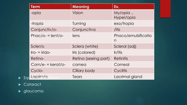 Medical Terminology of the body systems | PPTX | Eye and Vision ...