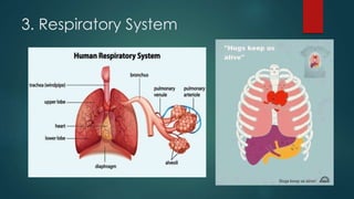 Medical Terminology of the body systems | PPTX