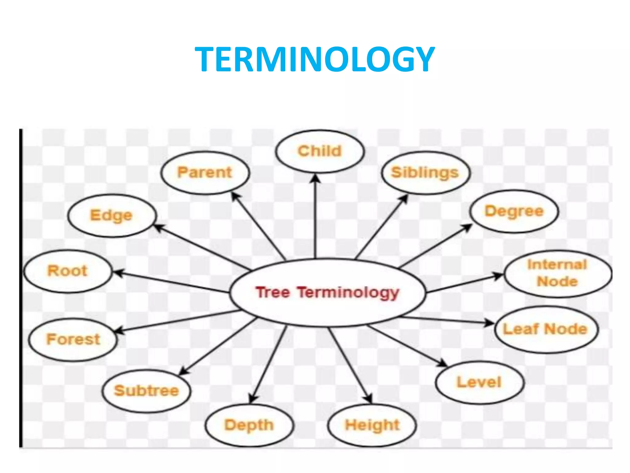 Terminology of tree | PPTX