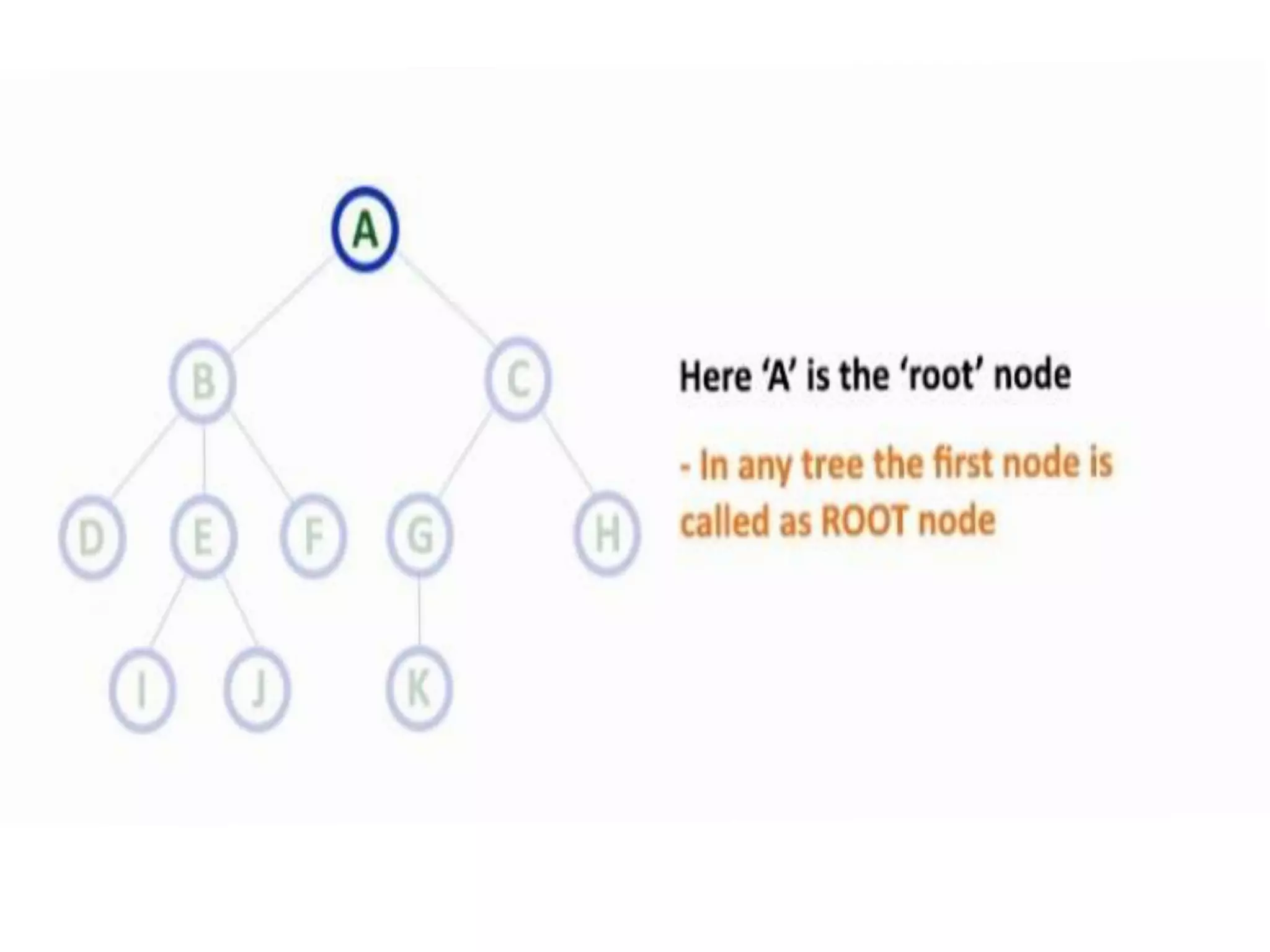 Terminology of tree | PPTX