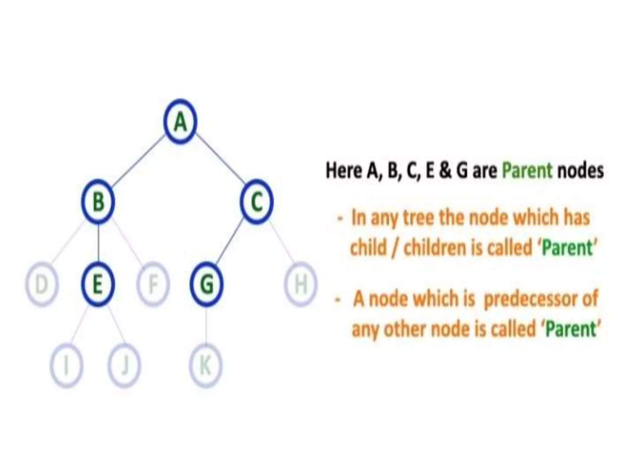 Terminology of tree | PPTX