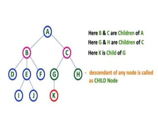 Terminology of tree | PPT