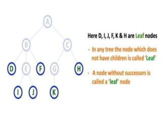 Terminology of tree | PPT