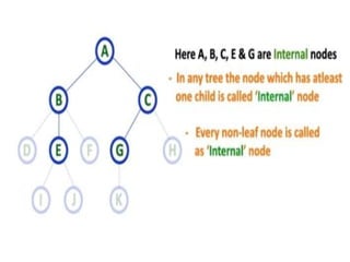 Terminology of tree | PPT
