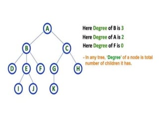 Terminology of tree | PPTX