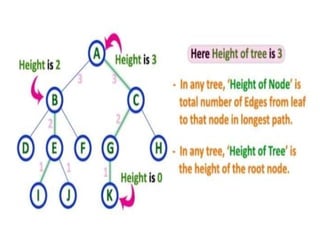 Terminology of tree | PPT