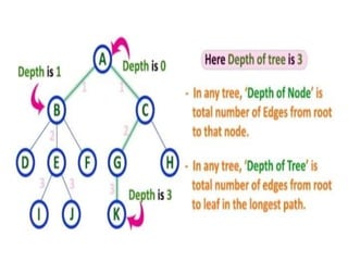 Terminology of tree | PPT