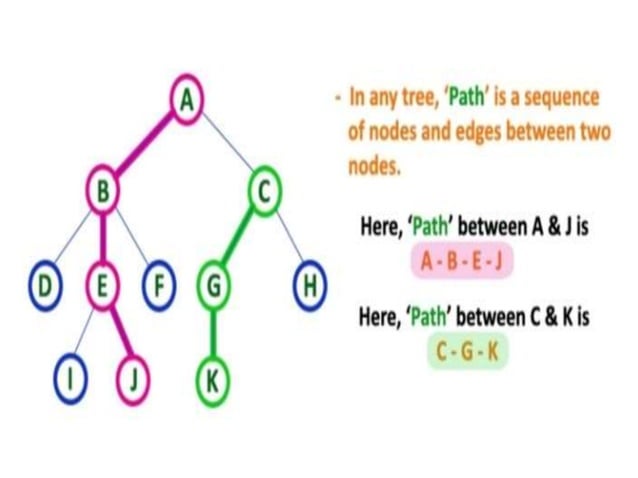 Terminology of tree | PPTX