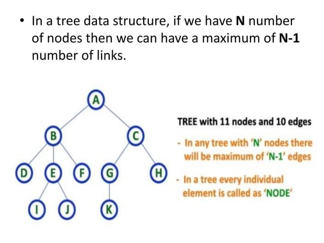 Terminology of tree | PPTX