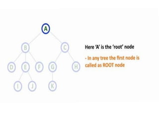 Terminology of tree | PPTX
