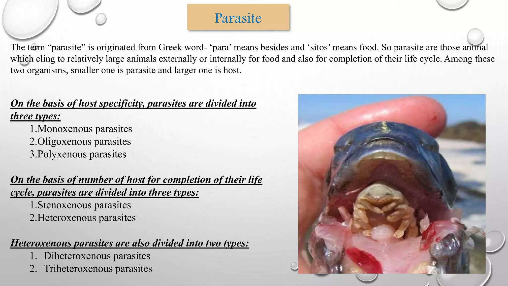 Fish Parasitology Terminology presentation | PPT