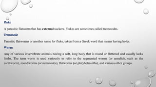 Fish Parasitology Terminology presentation | PPT