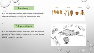 Fish Parasitology Terminology presentation | PPTX