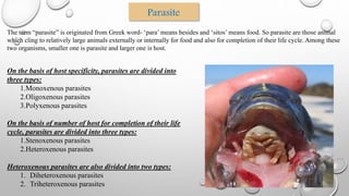 Fish Parasitology Terminology presentation | PPT