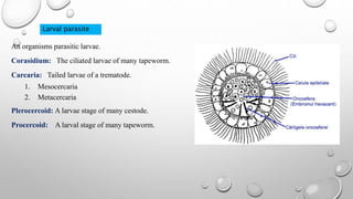 Fish Parasitology Terminology presentation | PPT
