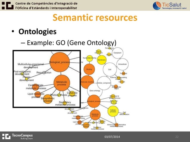 Terminology servers | PPTX | Internet | Computing