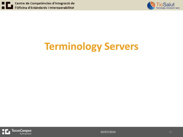 Terminology servers | PPTX | Internet | Computing