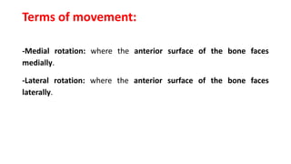 terminology& skeletone.pdf