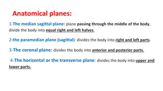 terminology& skeletone.pdf
