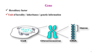 Central Dogma, Gene, Genetic Code, Codon, Genome, Genotype, Phenotype ...