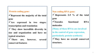 Central Dogma, Gene, Genetic Code, Codon, Genome, Genotype, Phenotype ...