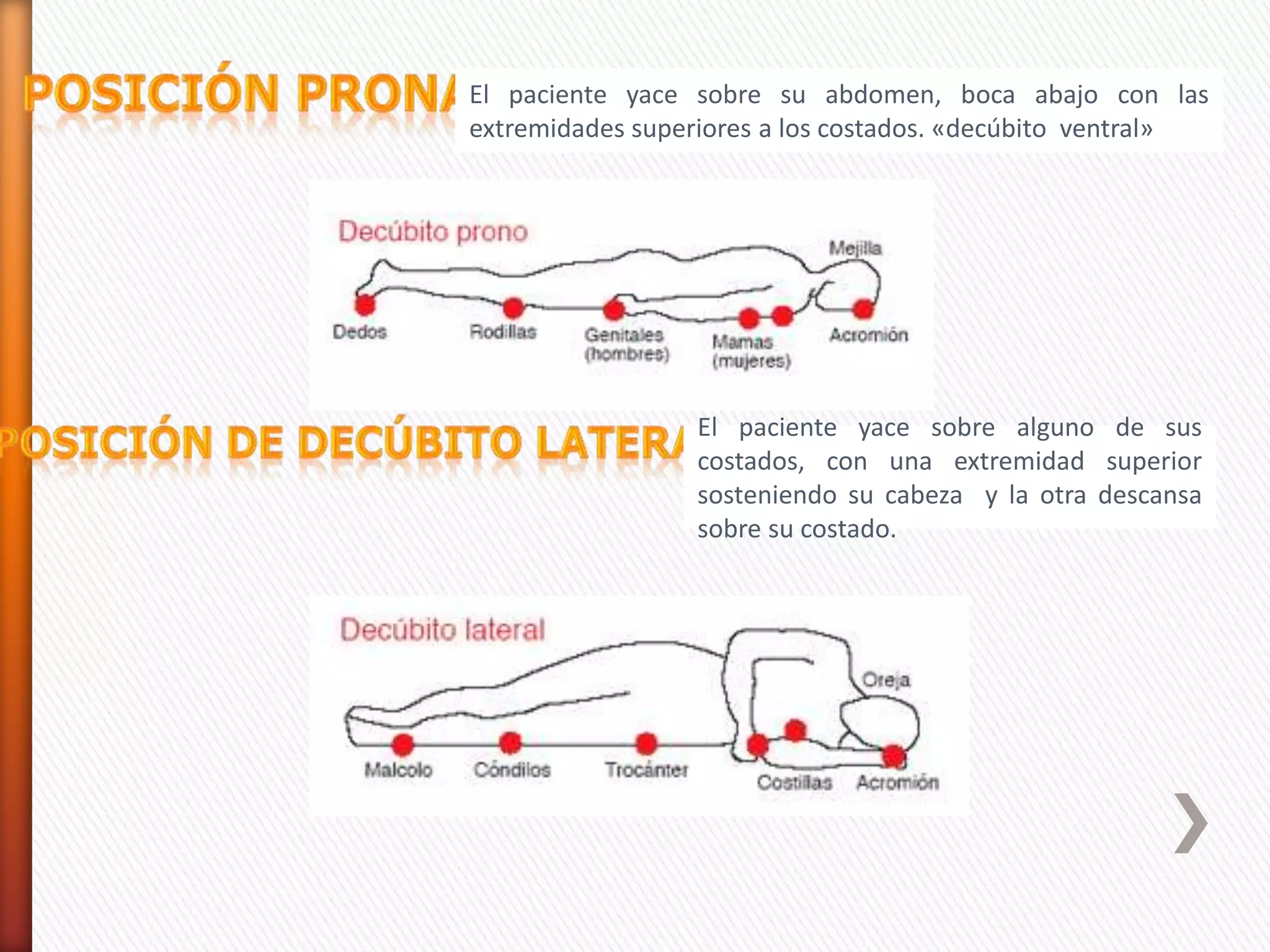Terminos basicos de posicion hospitalaria | PPTX
