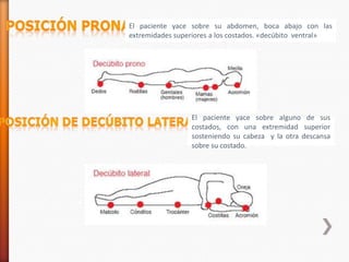 Terminos basicos de posicion hospitalaria | PPTX