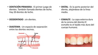 TERMINOS DE ODONTOLOGIA terminología.pptx